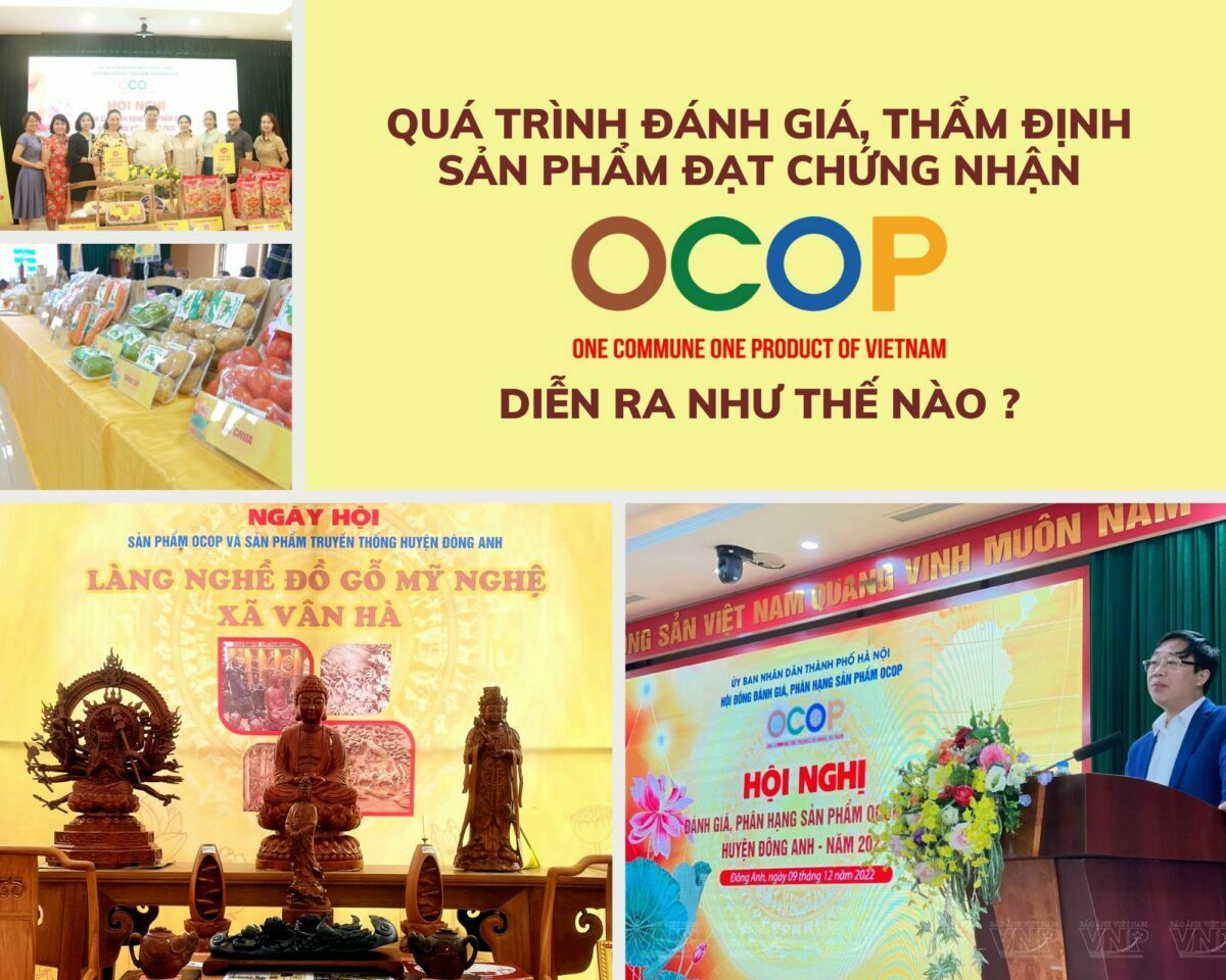 Thi OCOP cần chuẩn bị những gì?